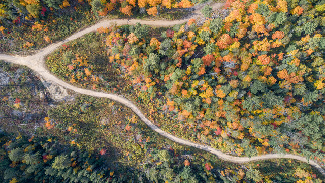 "Corduroy Road" Images – Browse 598 Stock Photos, Vectors, and Video ...