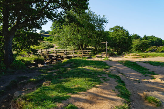 รูปภาพBurbage – เลือกดูภาพถ่ายสต็อก เวกเตอร์ และวิดีโอ382 | Adobe Stock