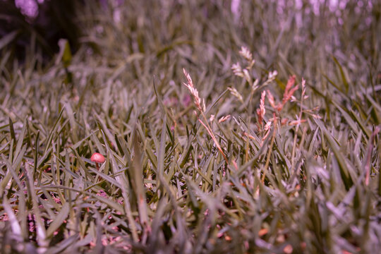 "Plano Cerrado" Bilder – Durchsuchen 165 Archivfotos, Vektorgrafiken ...