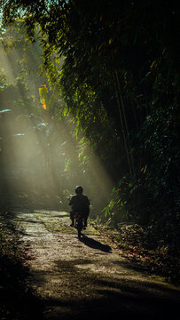 Raylight Images – Browse 267 Stock Photos, Vectors, and Video | Adobe Stock