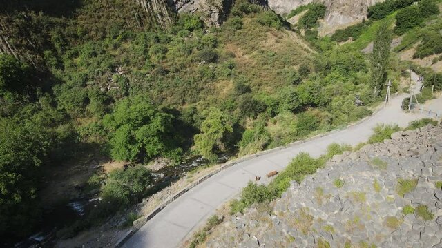 "Garni Gorge" Images – Browse 206 Stock Photos, Vectors, and Video ...