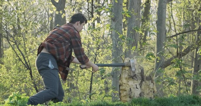 Wood-Cutter bilder – Bläddra bland 907 stockfoton, vektorer och videor ...