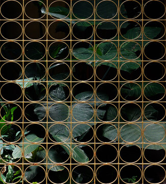 Ms. Yokai photos, images, assets | Adobe Stock