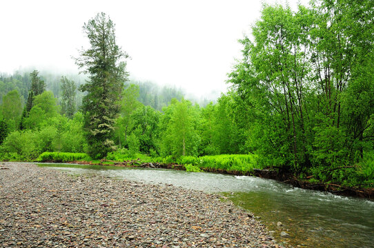 "Shallow River" Images – Browse 202 Stock Photos, Vectors, and Video ...