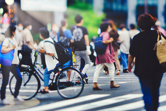 598,671 BEST Paseo IMAGES, STOCK PHOTOS & VECTORS | Adobe Stock