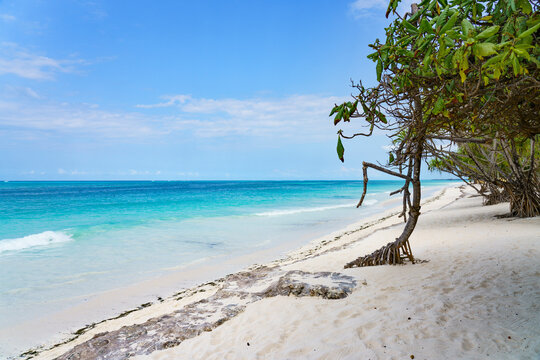 "Beach Background" Images – Browse 24,971 Stock Photos, Vectors, and ...