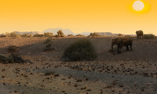 รูปภาพ"Arid Climate" – เลือกดูภาพถ่ายสต็อก เวกเตอร์ และวิดีโอ494,394 ...