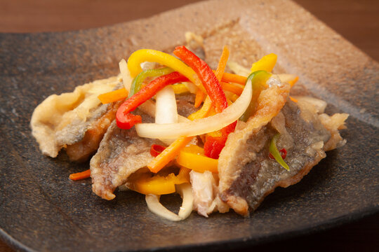 Free Wo Images – Browse 712 Free Stock Photos, Vectors, and Video ...