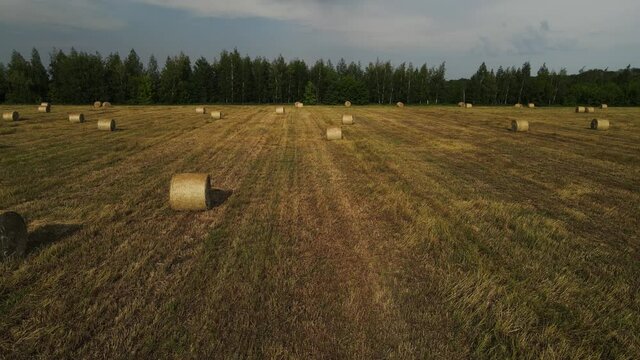 Stook 이미지 – 찾아보기 268 스톡 사진, 벡터 및 비디오 | Adobe Stock