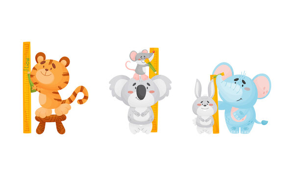 647개의 최고 Stadiometer 이미지, 스톡 사진 및 벡터 | Adobe Stock