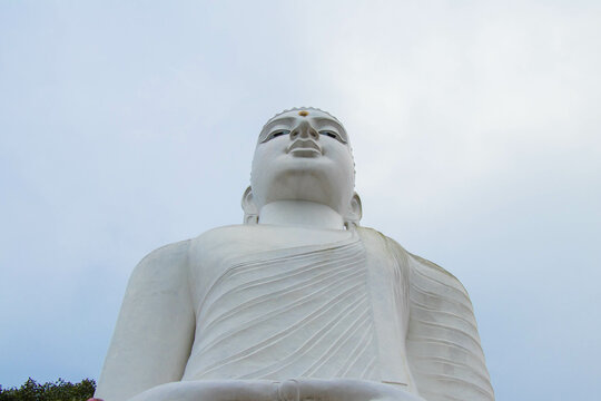 Bahirawa Images – Browse 57 Stock Photos, Vectors, and Video | Adobe Stock