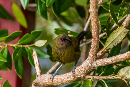 รูปภาพMakomako – เลือกดูภาพถ่ายสต็อก เวกเตอร์ และวิดีโอ1,069 | Adobe Stock