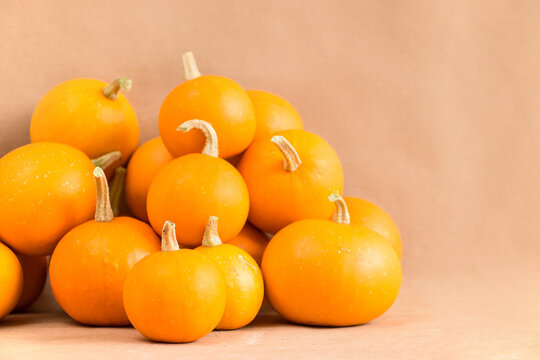 Thanksgiving Solid Background Images – Browse 886 Stock Photos, Vectors ...