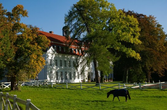 รูปภาพPanker – เลือกดูภาพถ่ายสต็อก เวกเตอร์ และวิดีโอ205 | Adobe Stock