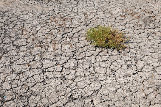 Geat Bilder – Durchsuchen 239 Archivfotos, Vektorgrafiken und Videos ...