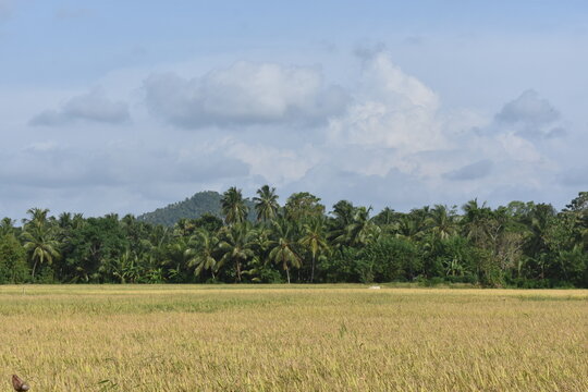 Nachural Images – Parcourir 15 le catalogue de photos, vecteurs et ...
