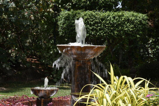 Nachural Images – Parcourir 15 le catalogue de photos, vecteurs et ...