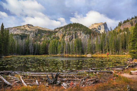 "Nymph Lake" Bilder – Durchsuchen 226 Archivfotos, Vektorgrafiken und ...