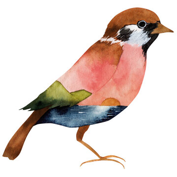 Maya Bird Clipart Images