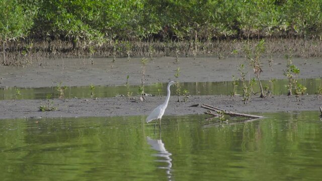 Imágenes de Parit: descubre bancos de fotos, ilustraciones, vectores y ...
