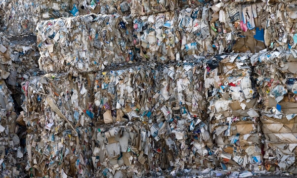 รูปภาพPapierproduktion – เลือกดูภาพถ่ายสต็อก เวกเตอร์ และวิดีโอ107 ...