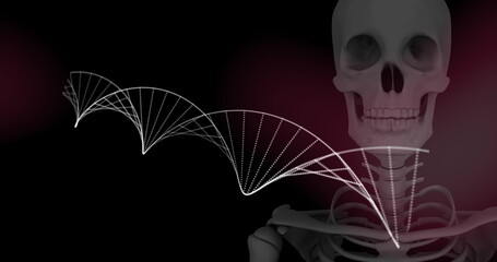 Human Skeleton with Spinning DNA Structure on Black Background ...