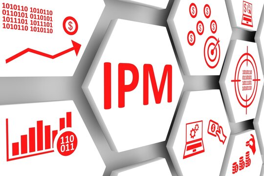 「Ipm」の写真素材 | 216件の無料イラスト画像 | Adobe Stock
