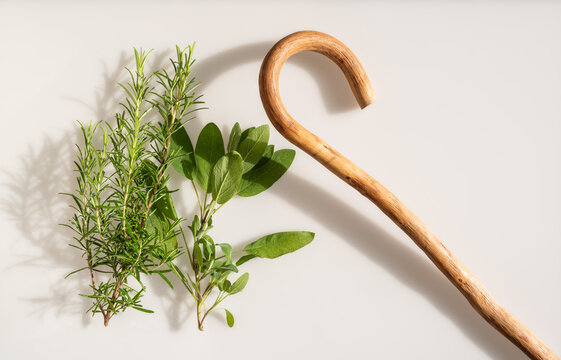 Hirtenstab-Bilder: Stock-Fotos & -Videos. | Adobe Stock