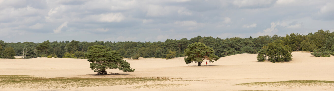 Soesterduinen bilder – Bläddra bland 376 stockfoton, vektorer och ...