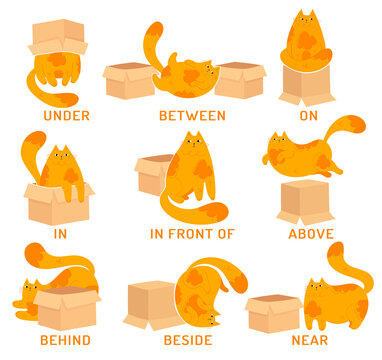 Prepositions Bilder – Durchsuchen 2,233 Archivfotos, Vektorgrafiken und ...