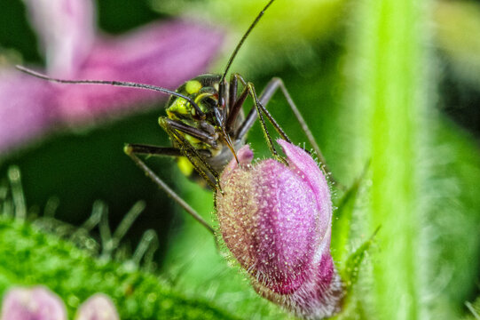 รูปภาพButineur – เลือกดูภาพถ่ายสต็อก เวกเตอร์ และวิดีโอ492 | Adobe Stock