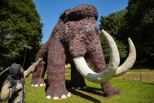 Mamouth Images – Parcourir 88 le catalogue de photos, vecteurs et ...