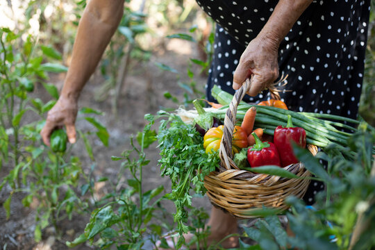 "Mixed Farming"-Bilder: Stock-Fotos & -Videos. | Adobe Stock
