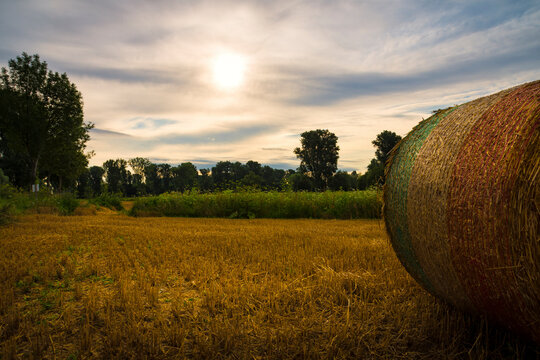 「Heurolle」の画像 - 192 件の Stock 写真、ベクターおよびビデオ | Adobe Stock
