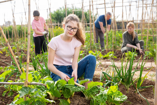 Enjoyment Images – Browse 6,342,879 Stock Photos, Vectors, and Video ...