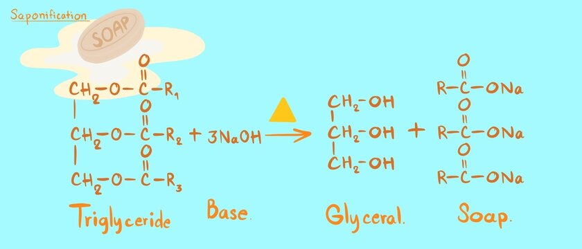 Saponification: Definition, Examples, Mechanism,, 44% OFF Saponification: Definition, Examples, Mechanism,, 44% OFF