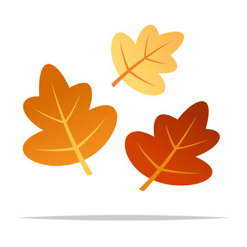 Animated Falling Leaves