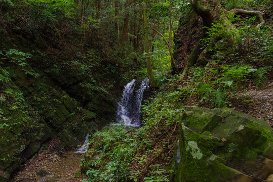 守 Images – Browse 624 Stock Photos, Vectors, and Video | Adobe Stock