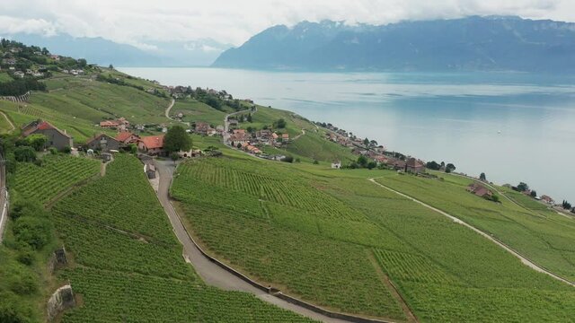 Imagens de Cully – Explore Fotografias do Stock, Vetores e Vídeos de ...