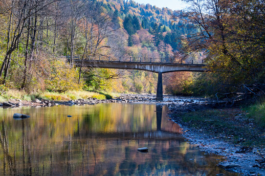 Solinka Images – Browse 32 Stock Photos, Vectors, and Video | Adobe Stock