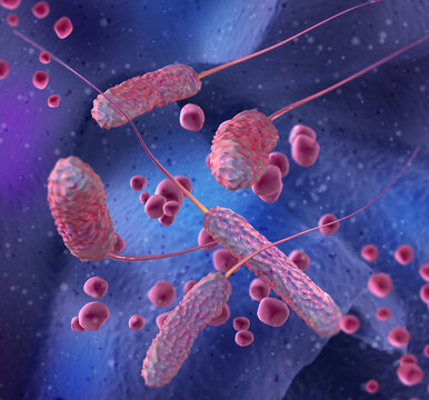 「Vibrionaceae」の写真素材 | 110件の無料イラスト画像 | Adobe Stock