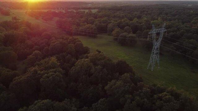 Powerline Trees Images – Browse 2,245 Stock Photos, Vectors, and Video ...