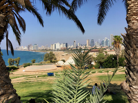 Yaffa Images – Browse 497 Stock Photos, Vectors, and Video | Adobe Stock
