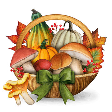 Erntedankkorb-Bilder: Stock-Fotos & -Videos. | Adobe Stock