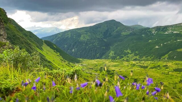 Turkul Images – Browse 168 Stock Photos, Vectors, and Video | Adobe Stock