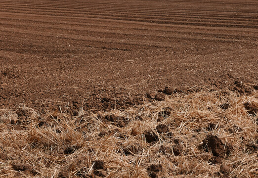 "Campo Arato" Images – Browse 210 Stock Photos, Vectors, and Video ...