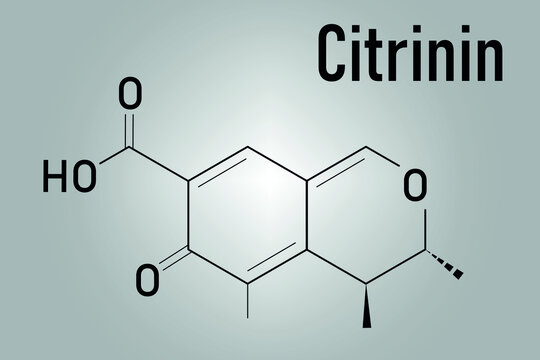 Citrinin Images – Browse 44 Stock Photos, Vectors, and Video | Adobe Stock