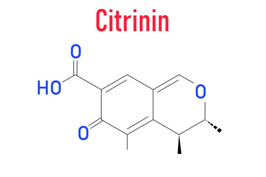 Citrinin Images – Browse 29 Stock Photos, Vectors, and Video | Adobe Stock