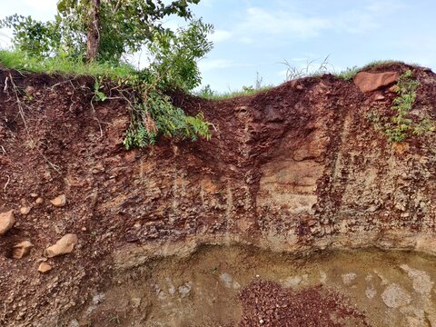 "Water Logging" Images – Browse 162 Stock Photos, Vectors, and Video ...