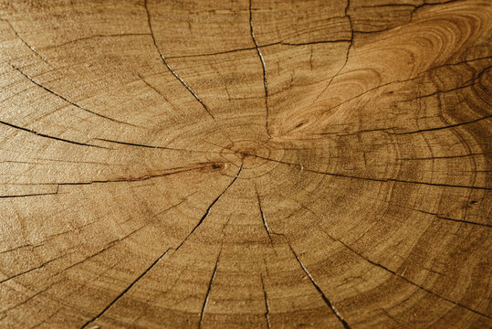 รูปภาพConcentrique – เลือกดูภาพถ่ายสต็อก เวกเตอร์ และวิดีโอ345 | Adobe ...